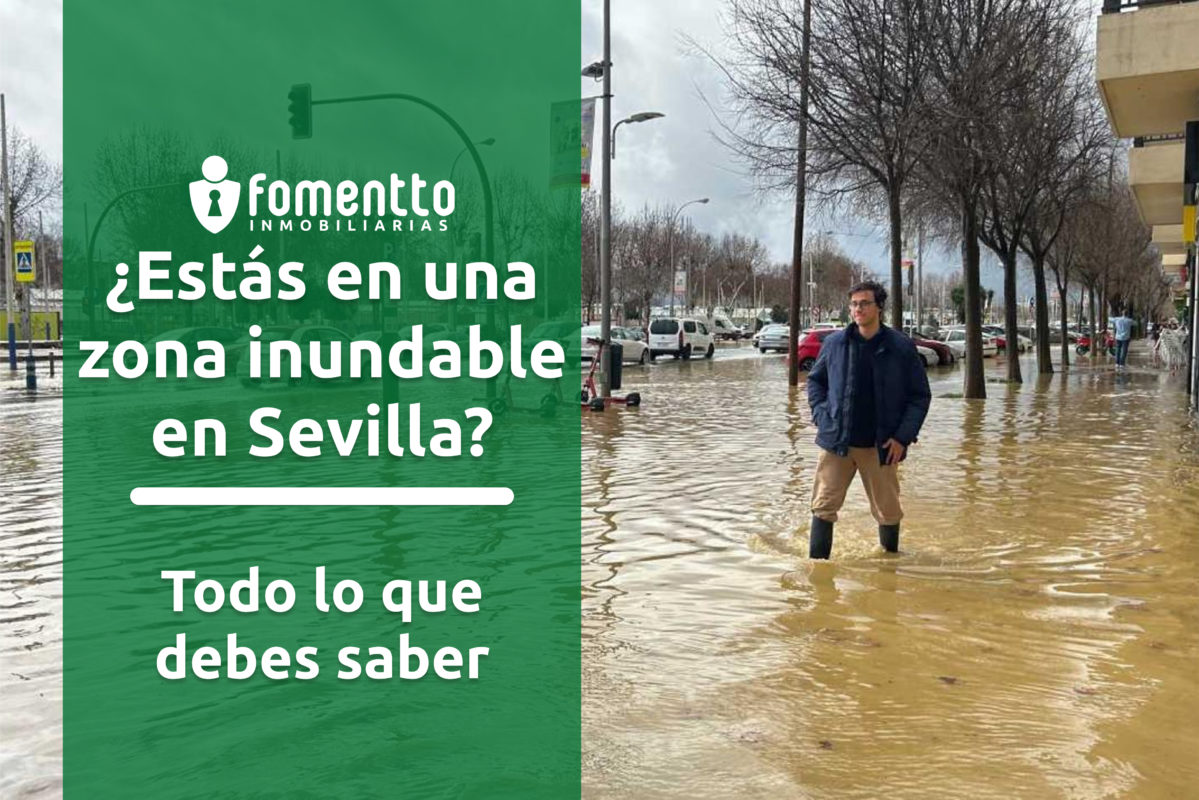¿Estás en una de las zonas inundables de Sevilla? Todo lo que necesitas ...